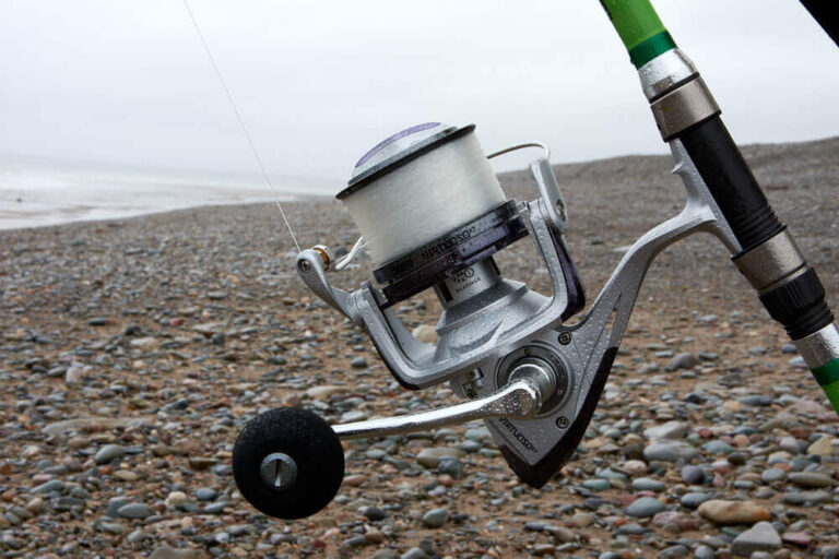 How to catch smoothhound - Talk Sea Fishing - The Home of UK Sea Angling